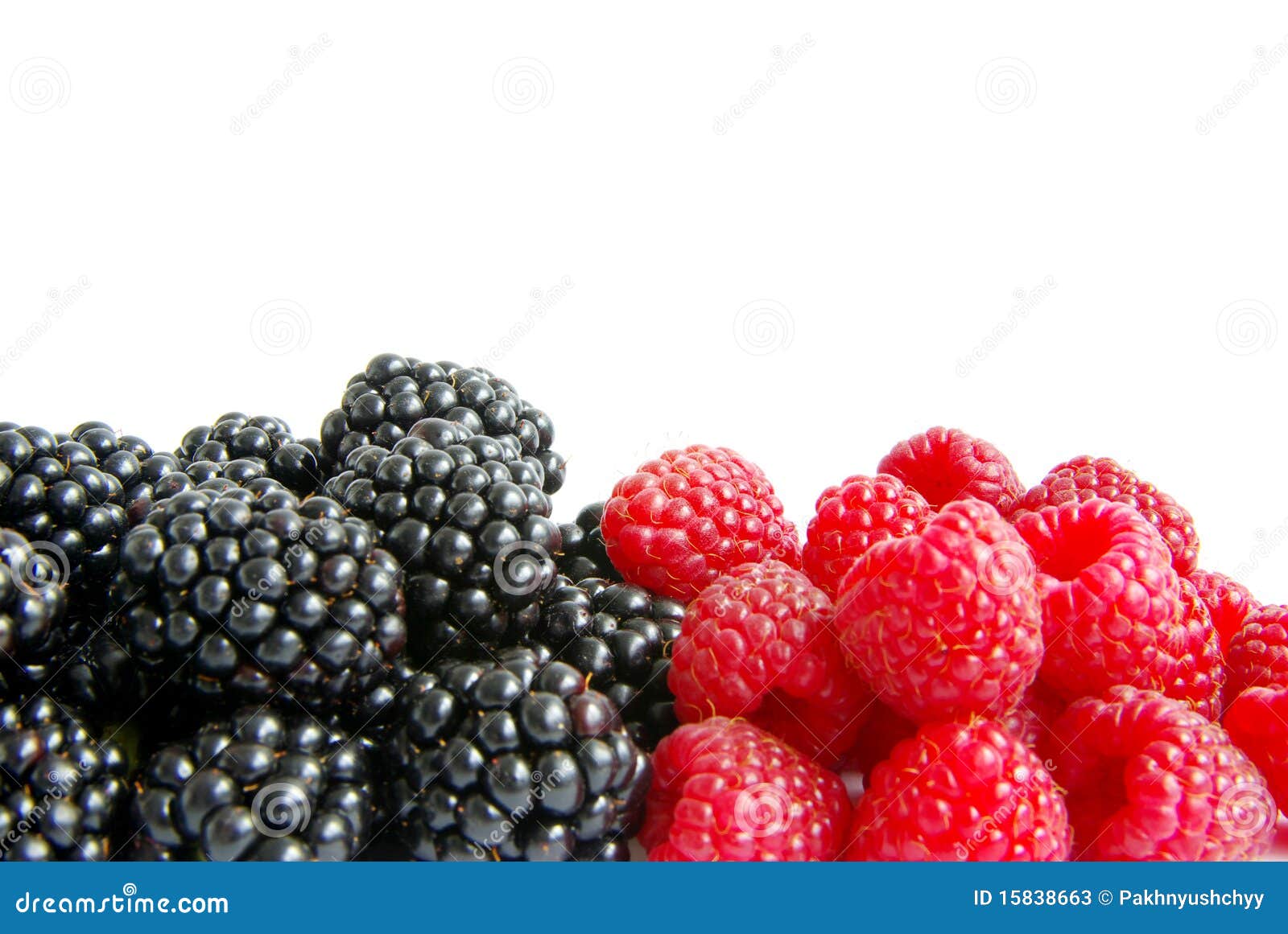 Himbeere und Brombeere stockbild. Bild von nahaufnahme - 15838663