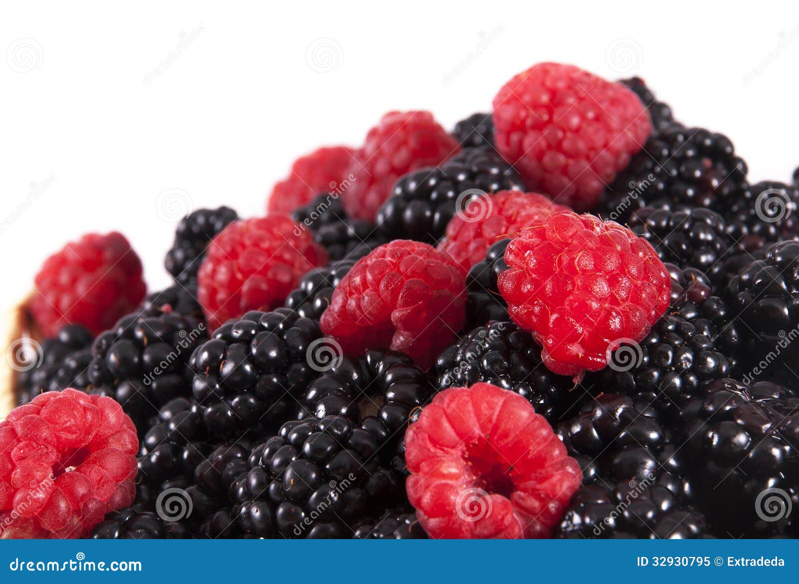 Himbeere und Brombeere. stockbild. Bild von vitamin, brombeerstrauch ...