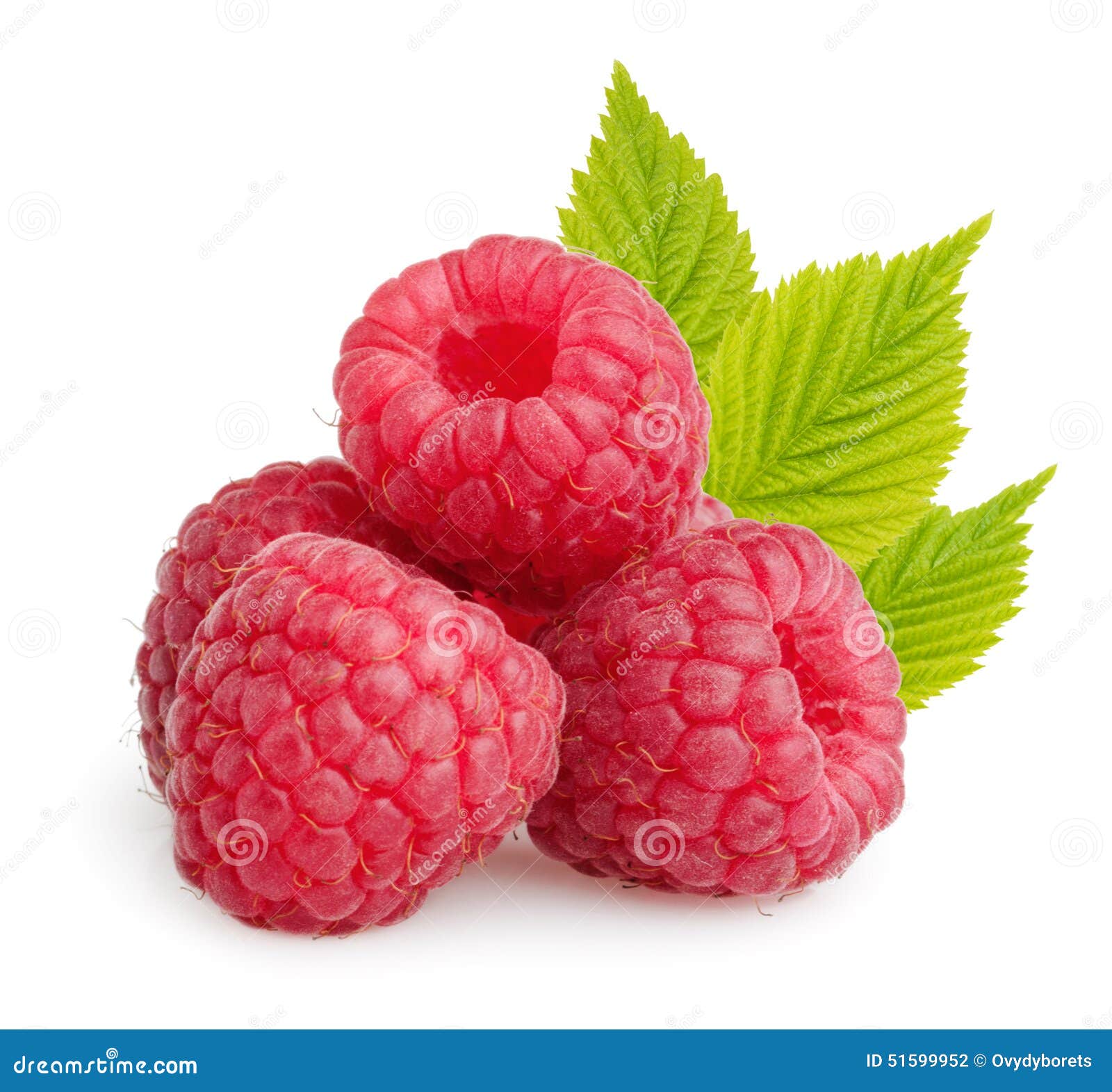 Himbeeren Mit Den Blättern Getrennt Stockfoto - Bild von himbeere ...