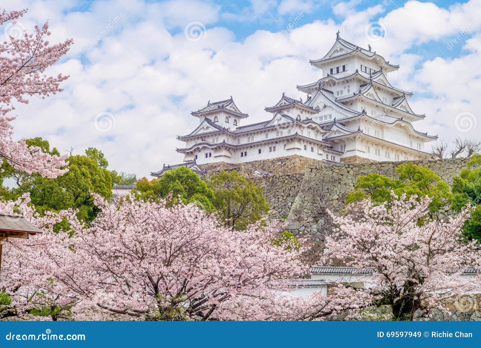 Himeji Castle with Cherry Blossom Stock Image - Image of japan ...