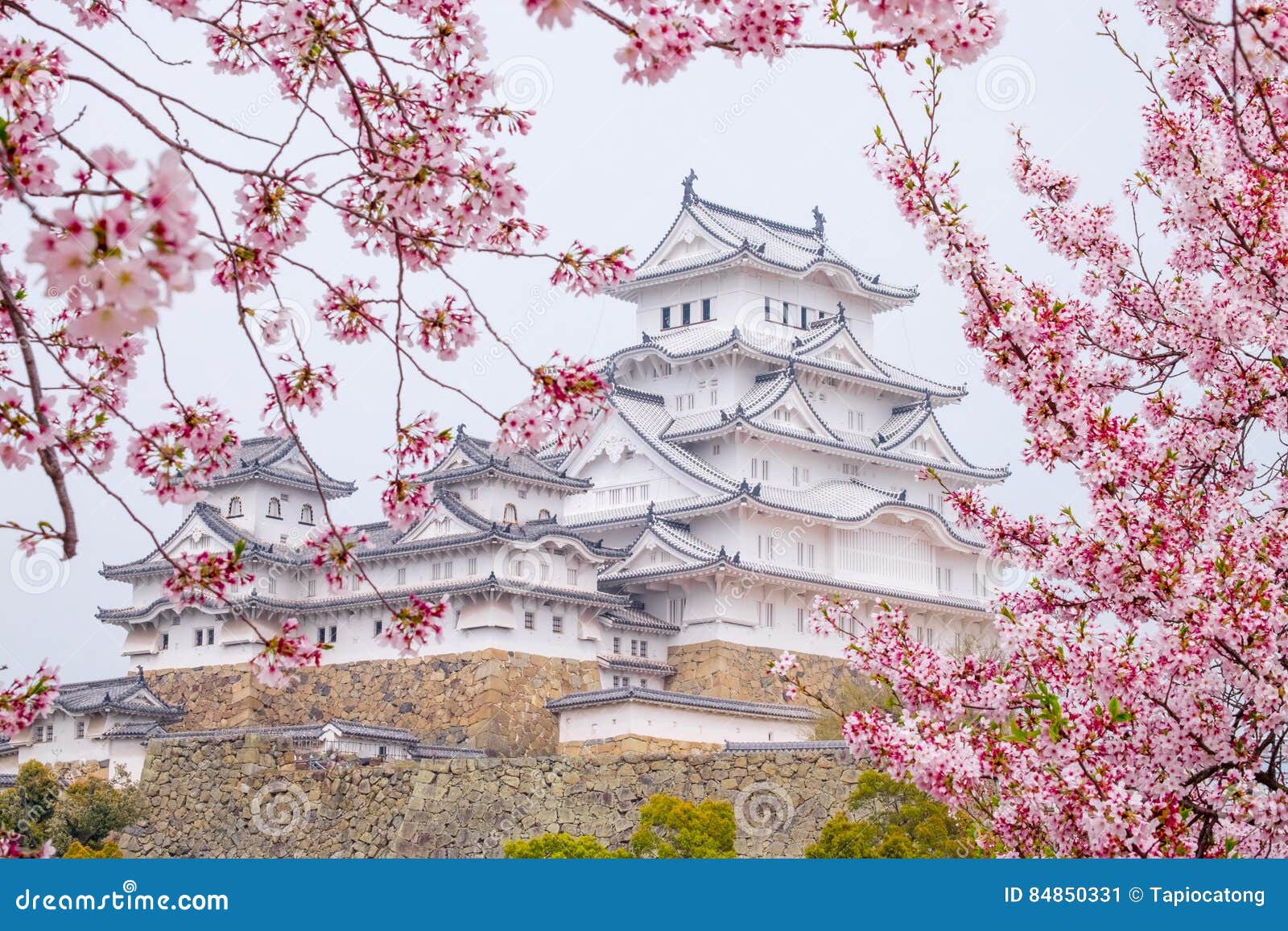 Himeji Castle, Japan editorial photo. Image of famous - 84850331