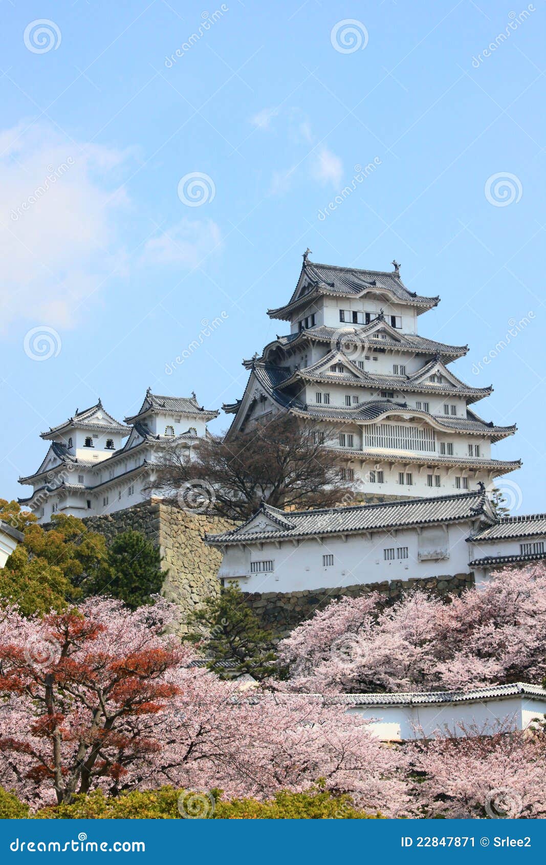 Himeji Castle and Spring Cherry Blossoms Stock Image - Image of flower ...