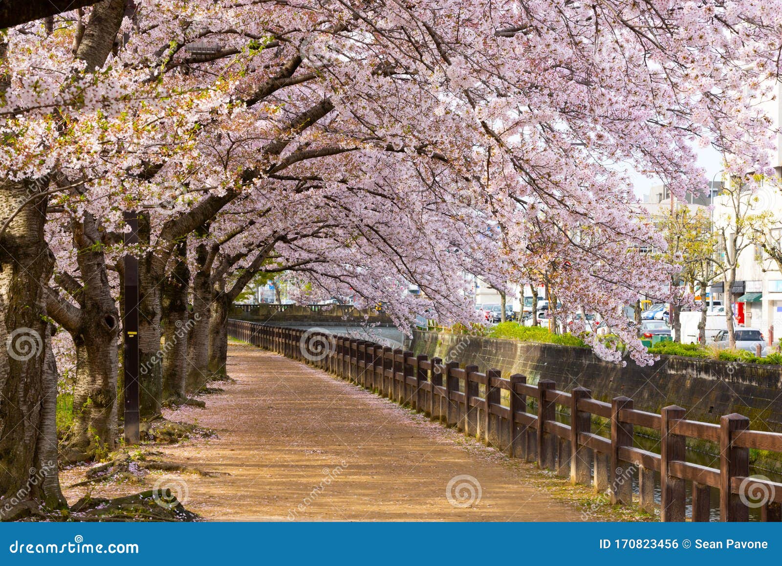 Himeji, Japan Park in Spring Stock Photo - Image of beautiful, daytime ...