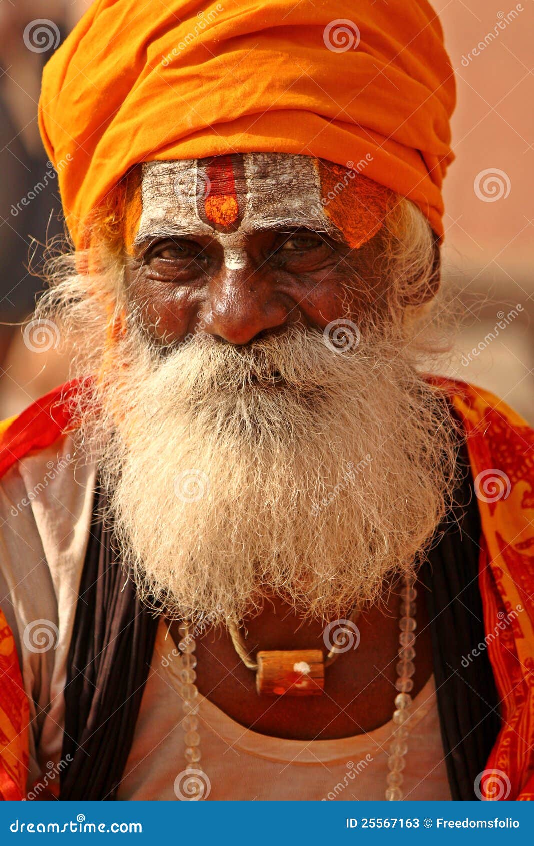 Hindoese Monnik in Traditionele Kleding in India Redactionele Stock ...