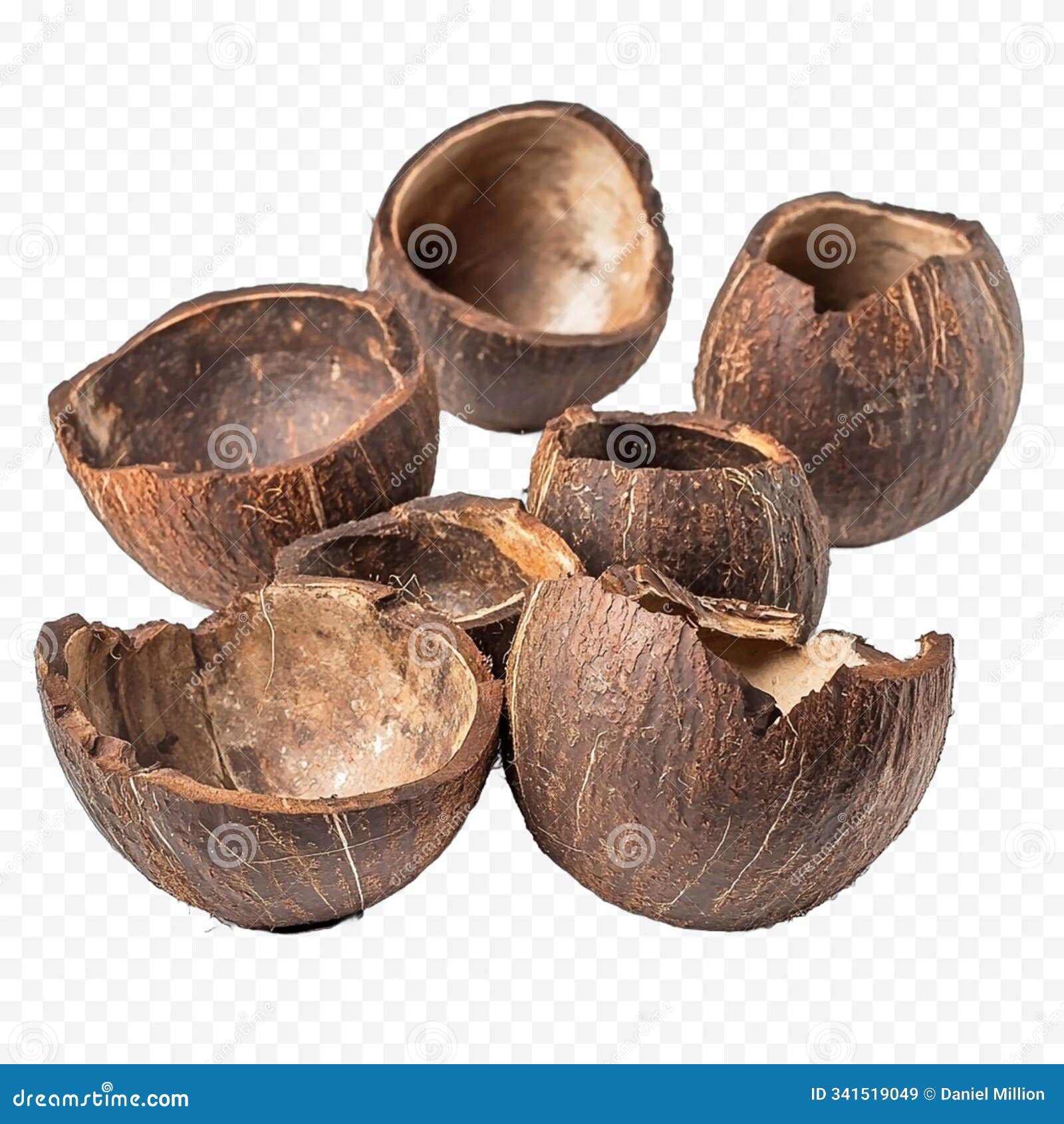 Hindu coconut shells stock image. Illustration of foreground - 341519049