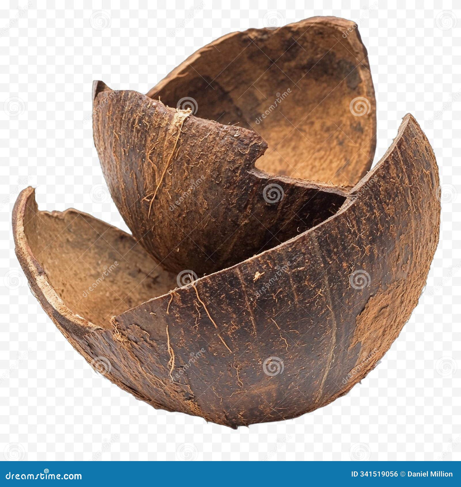 Hindu coconut shells stock photo. Illustration of martini - 341519056