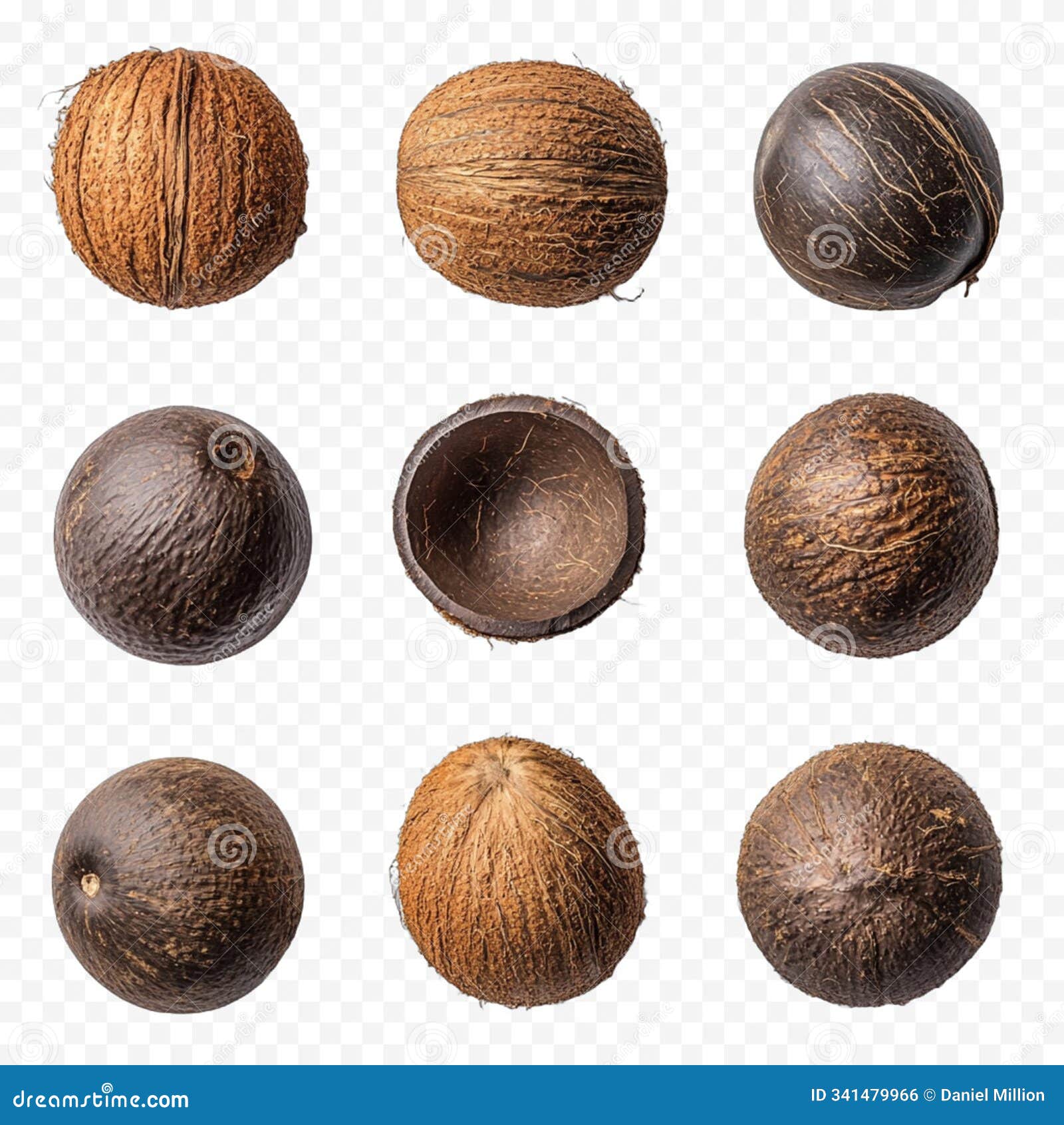 Hindu Coconut Shells Set Royalty-Free Stock Photo | CartoonDealer.com ...