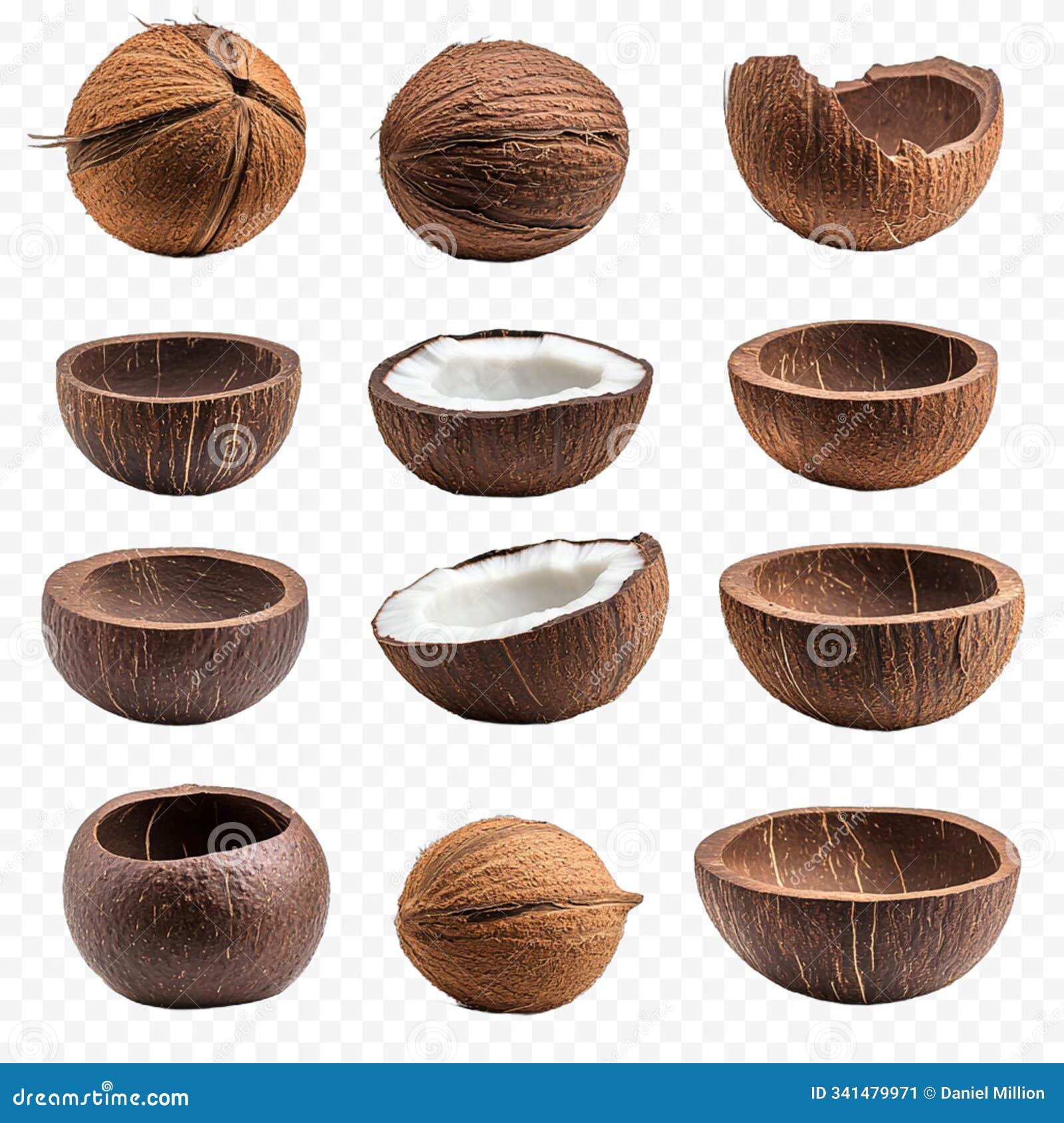 Hindu Coconut Shells Set Royalty-Free Stock Photo | CartoonDealer.com ...