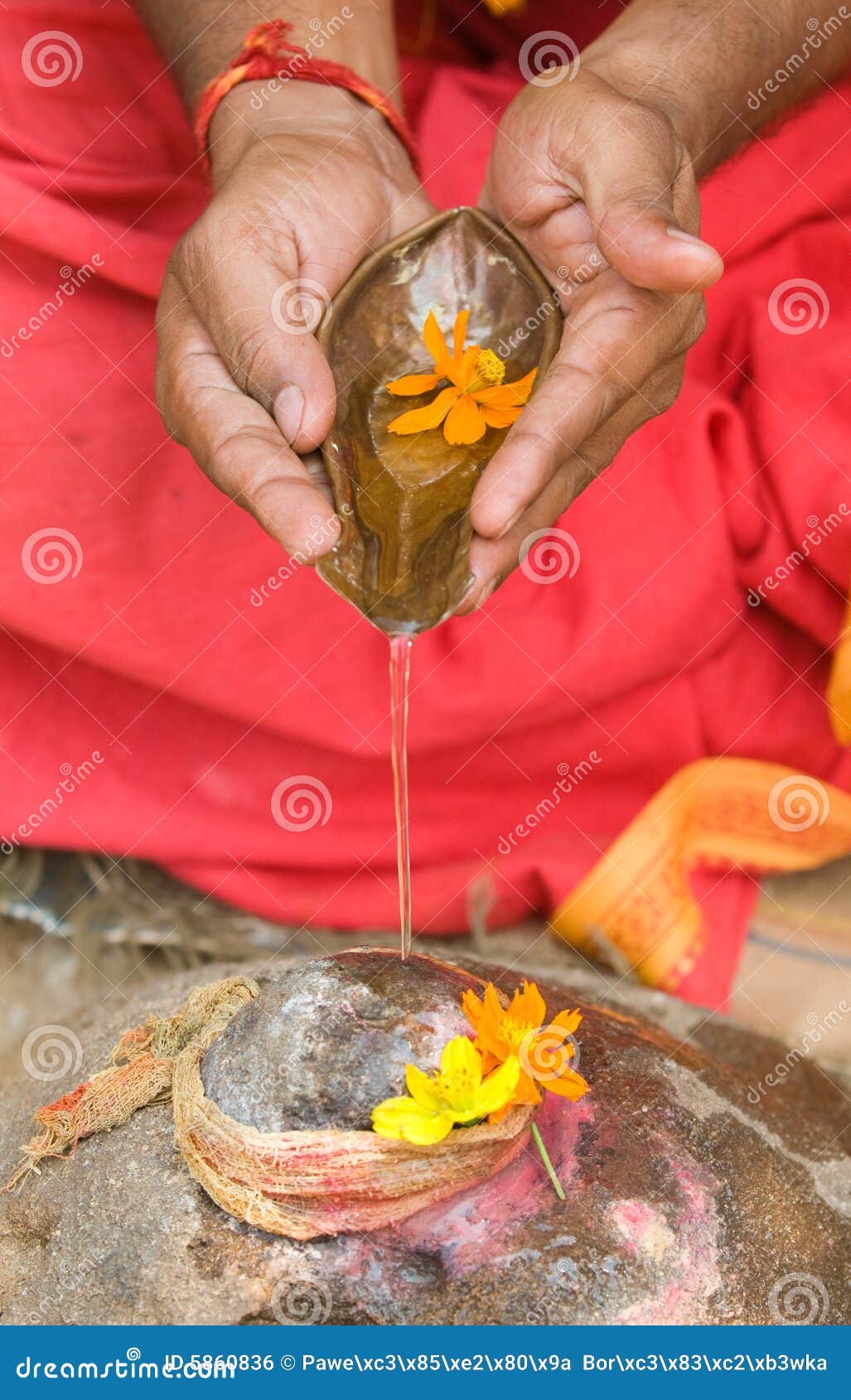 Hindu Devotee praying stock photo. Image of hindu, religious - 5860836