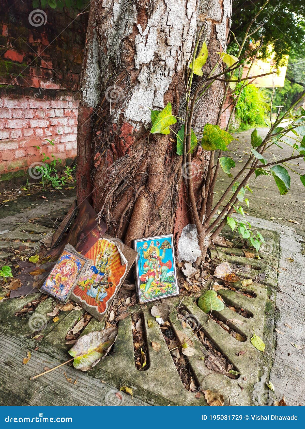 The Hindu Gods Frame Behind the Tree on a Street. Stock Image - Image ...