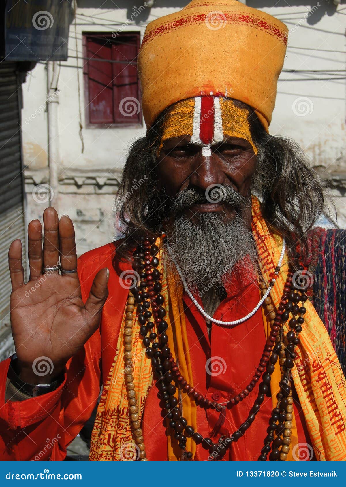 Hindu Sadhu editorial image. Image of sadhu, rajasthan - 13371820