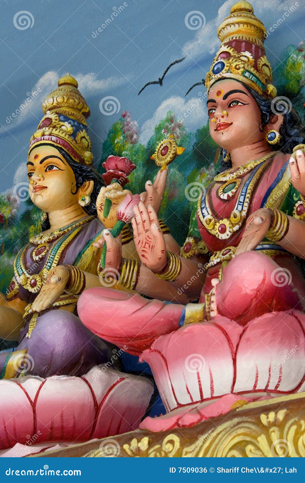 Hinduiska gudar arkivfoto. Bild av tempel, turism, statuett - 7509036