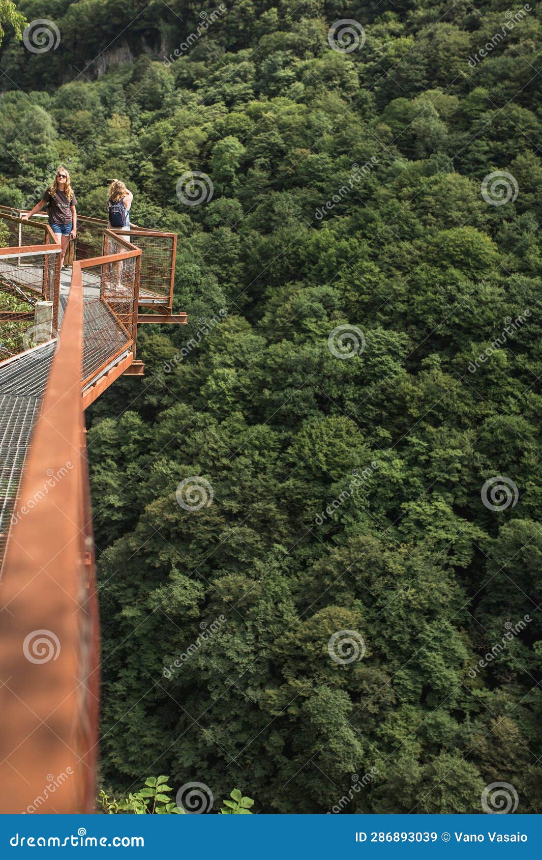 Hinged Pedestrian Bridge Over a Deep Gorge Stock Image - Image of fear ...