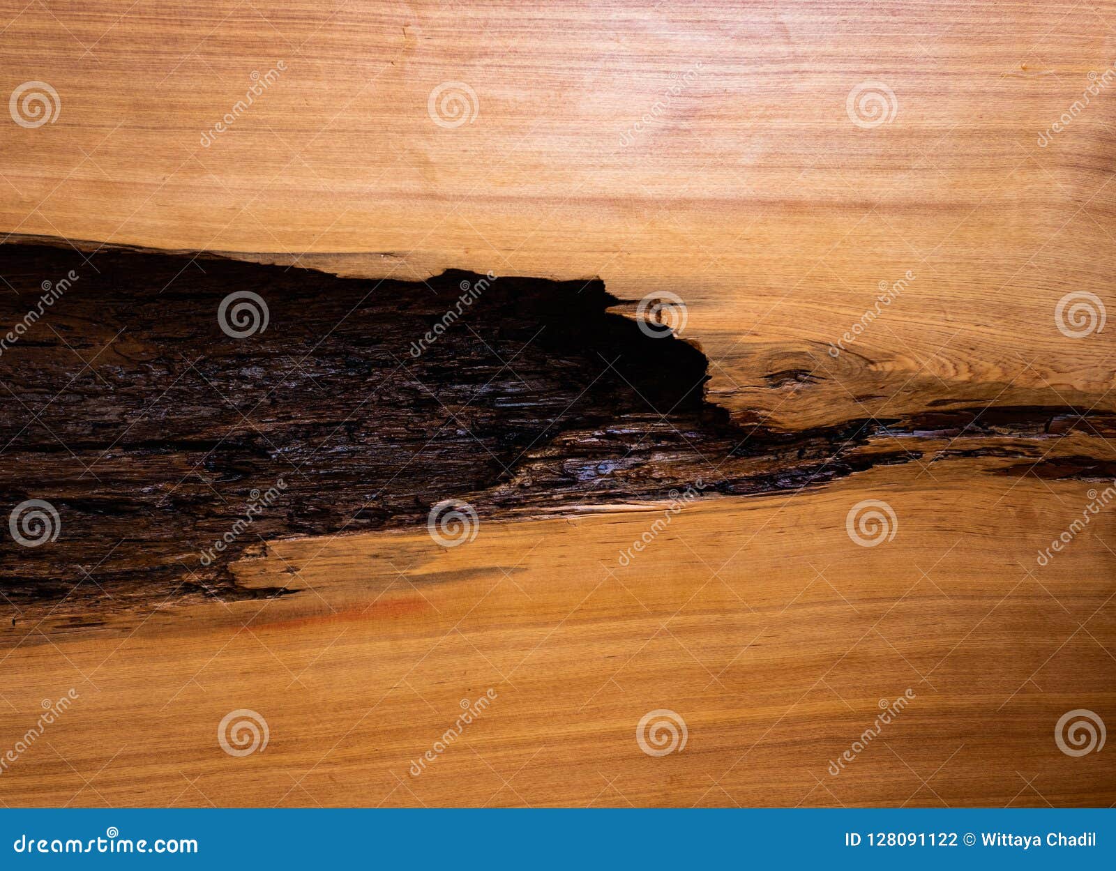 Wood Texture, Hinoki Wood Pattern, Hinoki Wood Pattern Texture For ...