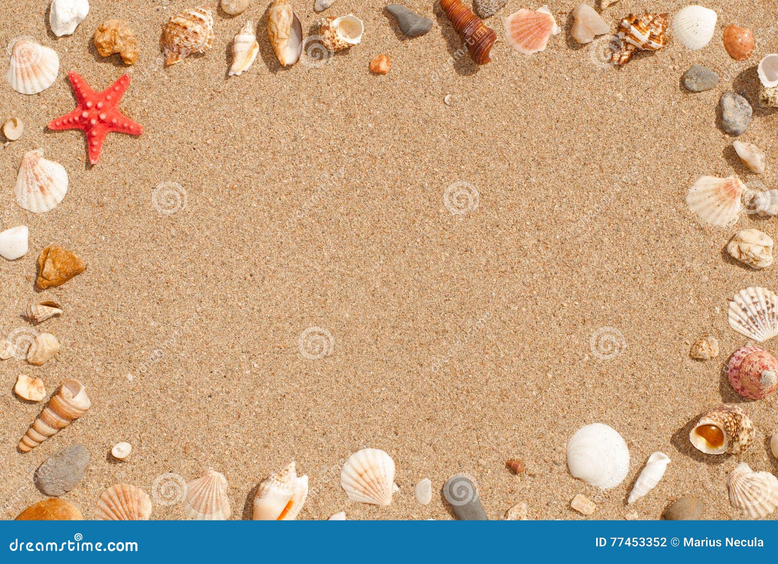 Hintergrundrahmen Von Muscheln Auf Sand Stockfoto - Bild von ...