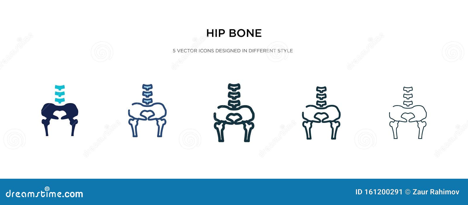 Hip Bone Icon in Different Style Vector Illustration. Two Colored and ...