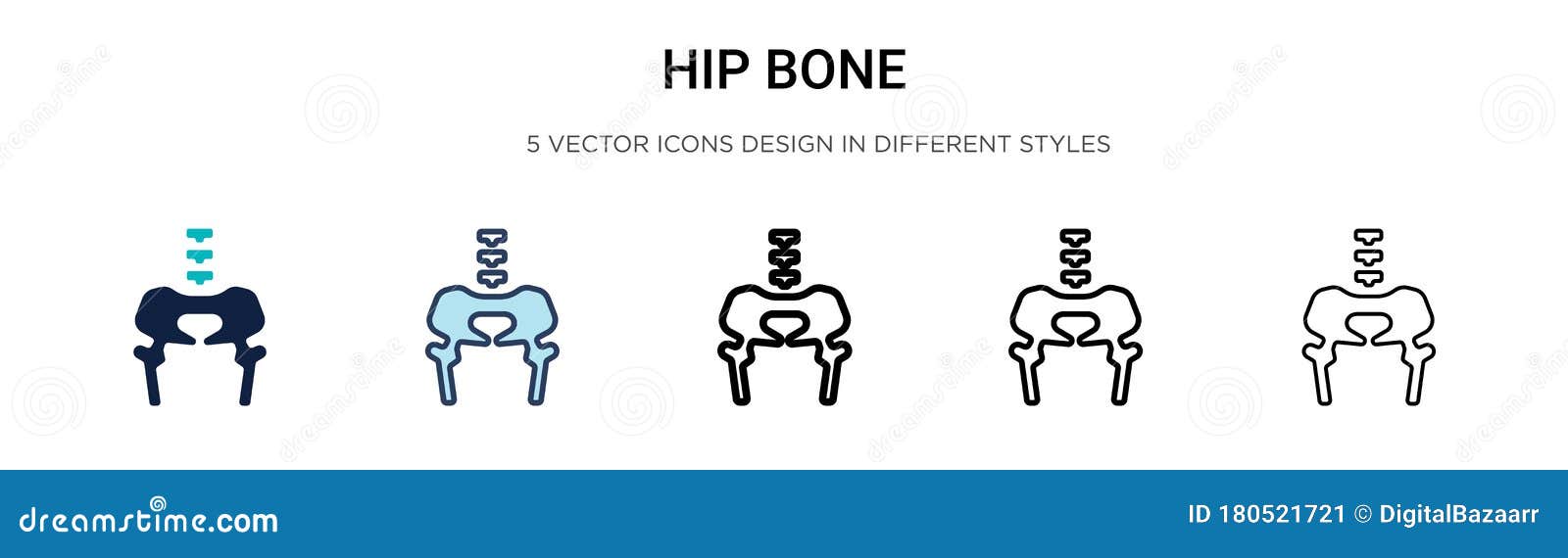 Hip Bone Icon in Filled, Thin Line, Outline and Stroke Style. Vector ...
