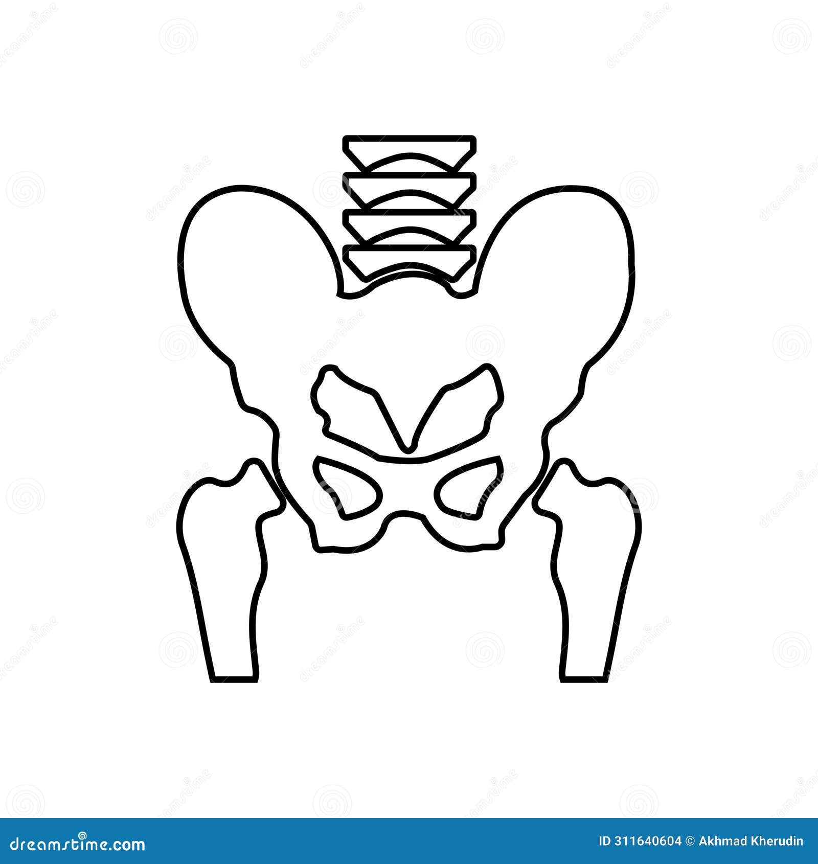 Hip Bone icon stock vector. Illustration of pelvis, logo - 311640604