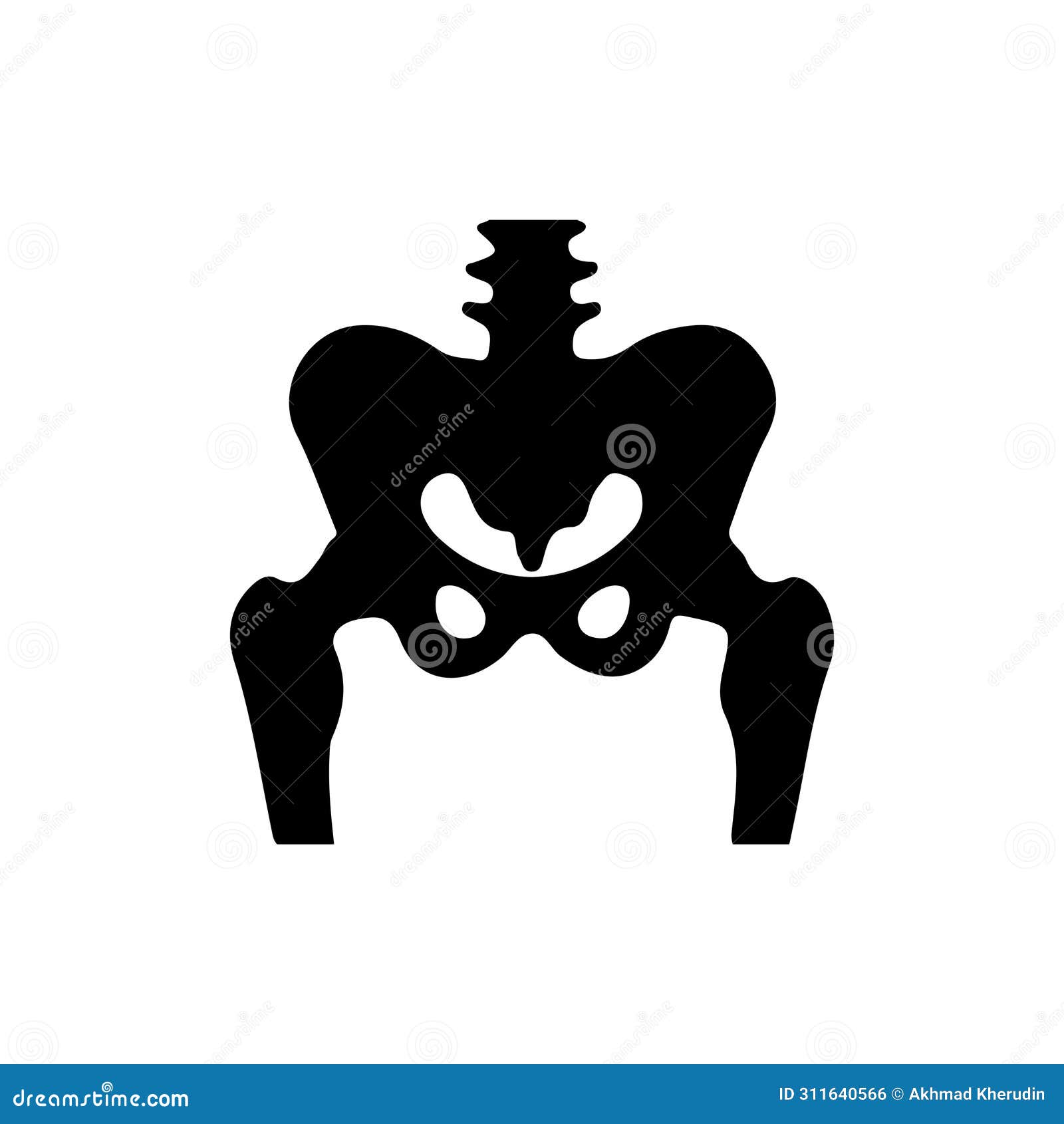 Hip Bone icon stock vector. Illustration of isolated - 311640566