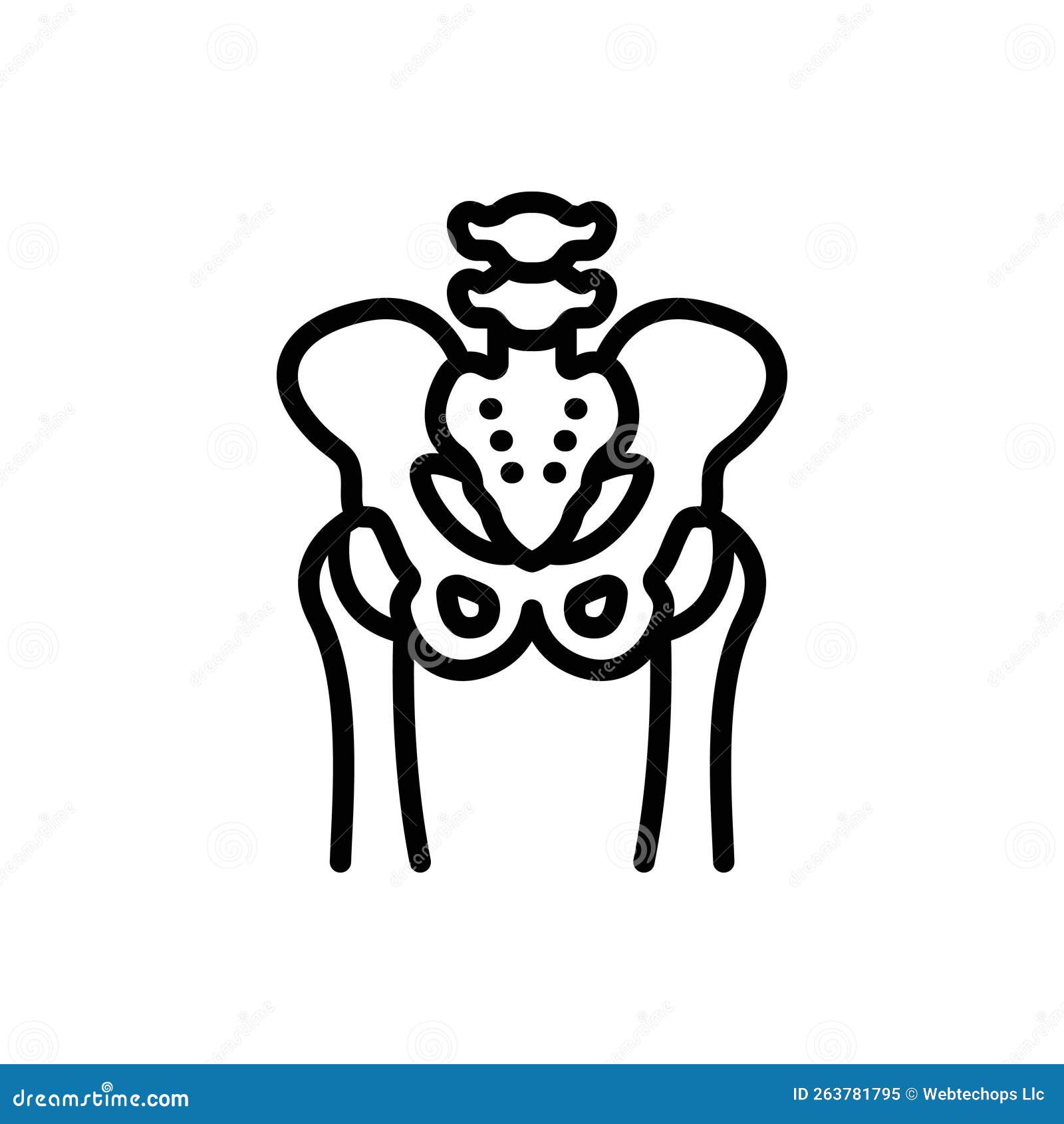 Black Line Icon for Hip, Pelvis and Skeleton Stock Vector ...