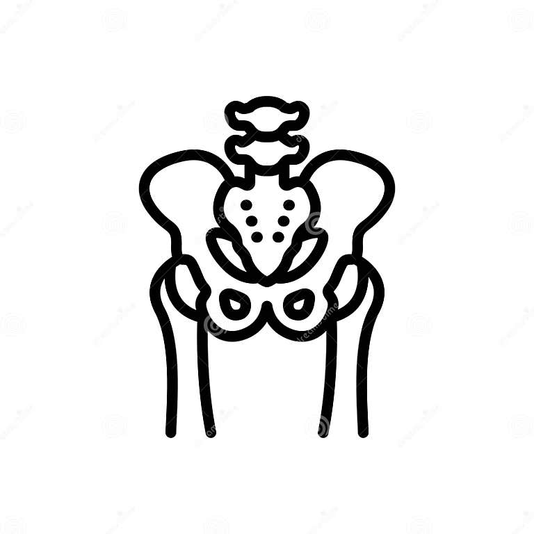 Black Line Icon for Hip, Pelvis and Skeleton Stock Vector ...