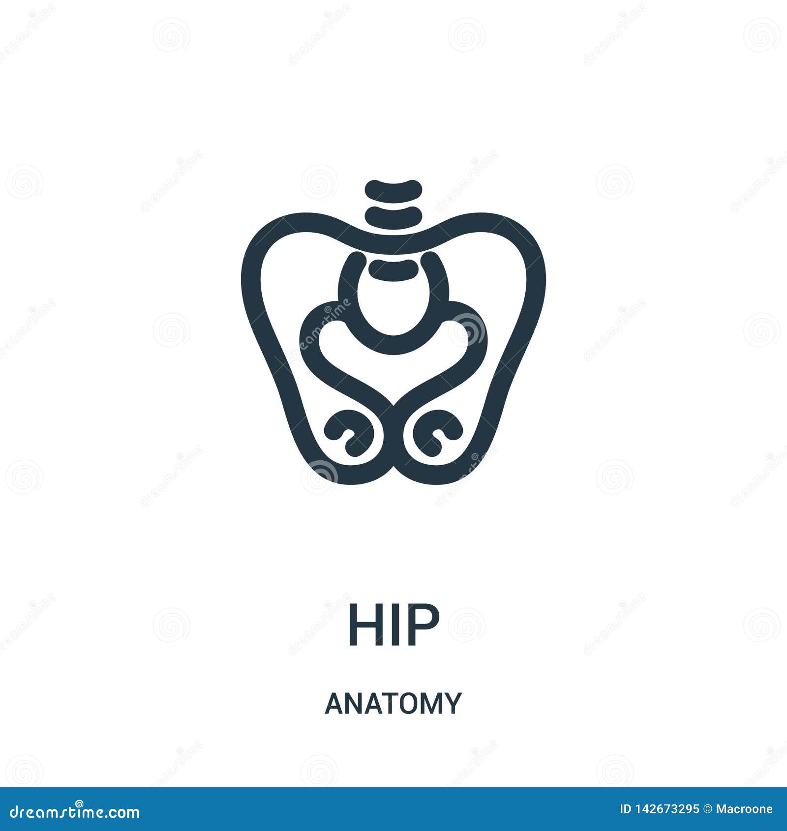 Hip Icon Vector from Anatomy Collection. Thin Line Hip Outline Icon ...