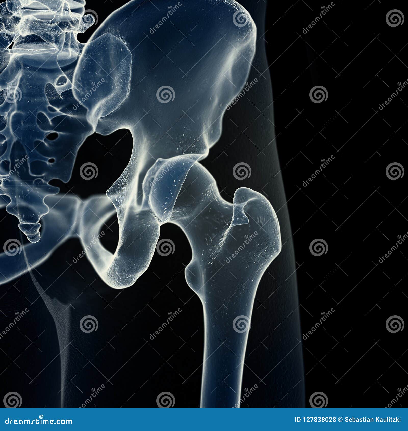 The hip joint stock illustration. Illustration of rendered - 127838028