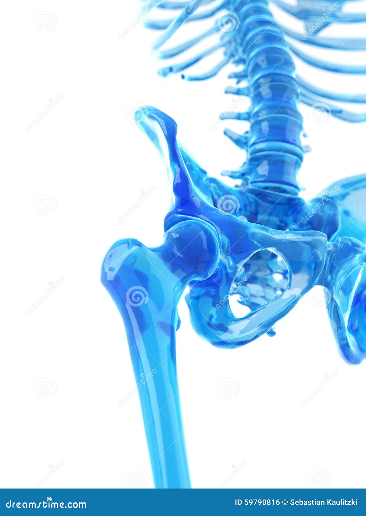The hip joint stock illustration. Illustration of digitally - 59790816