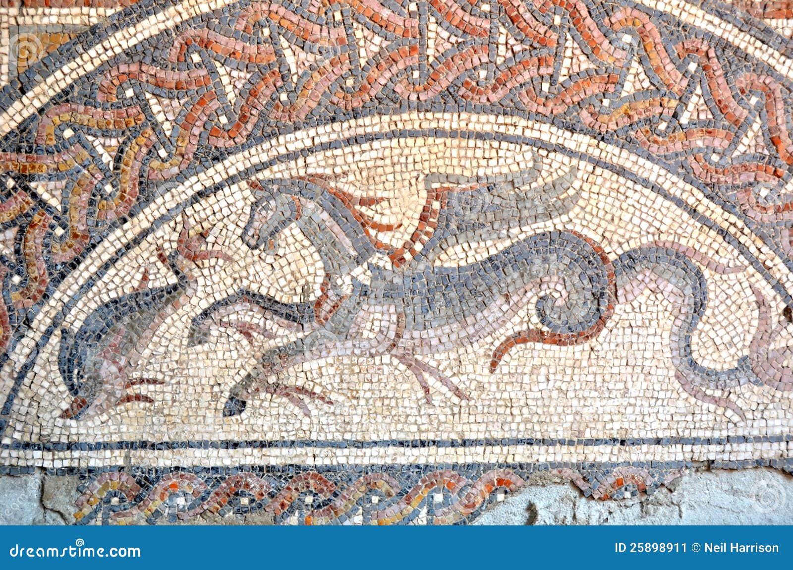 Hippocamp stock image. Image of legend, beast, roman - 25898911