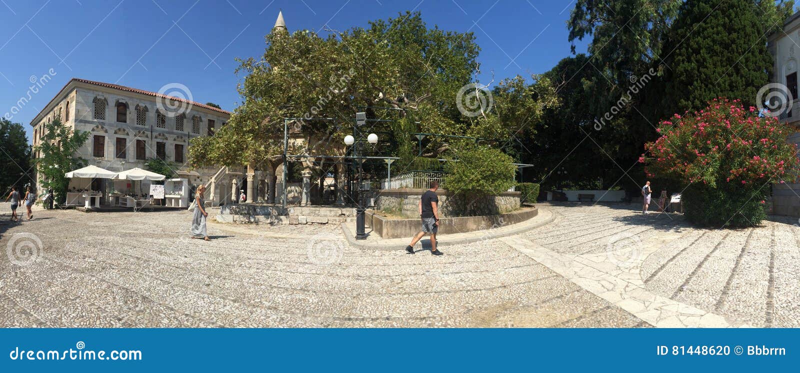 Hippocrates Plane Tree that is in Kos Island of Greece. Editorial Image ...