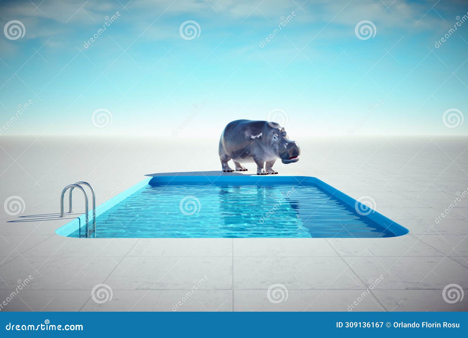 Hippopotamus Relaxing at a Pool Stock Image - Image of relax, abstract ...