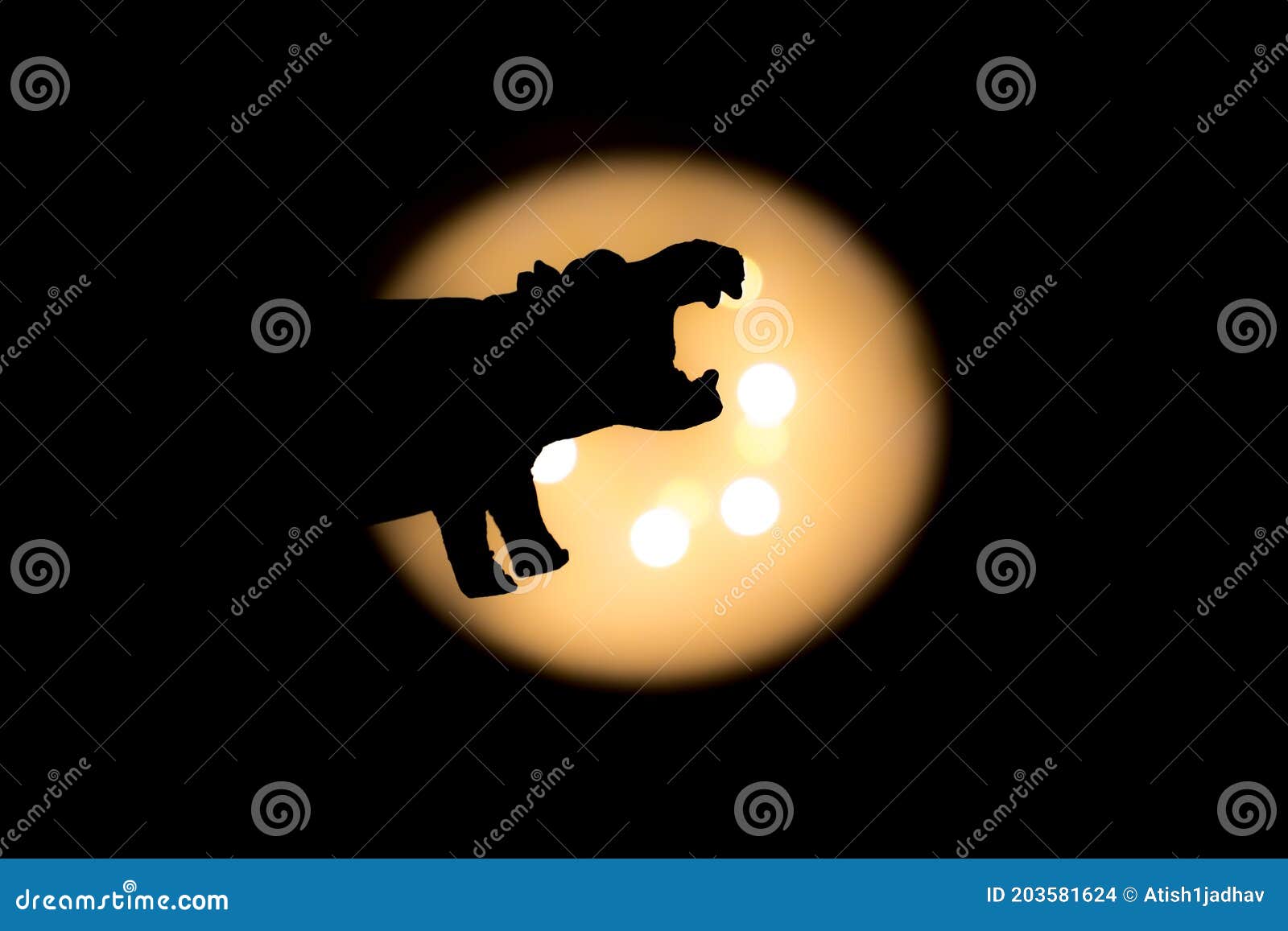 Hippopotamus Shadow with Bright Light in Back Stock Photo - Image of ...