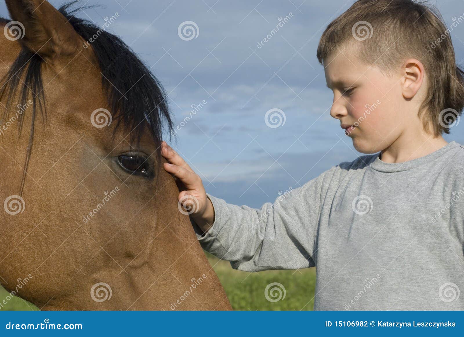 Hippotherapy stock photo. Image of love, child, cute - 15106982