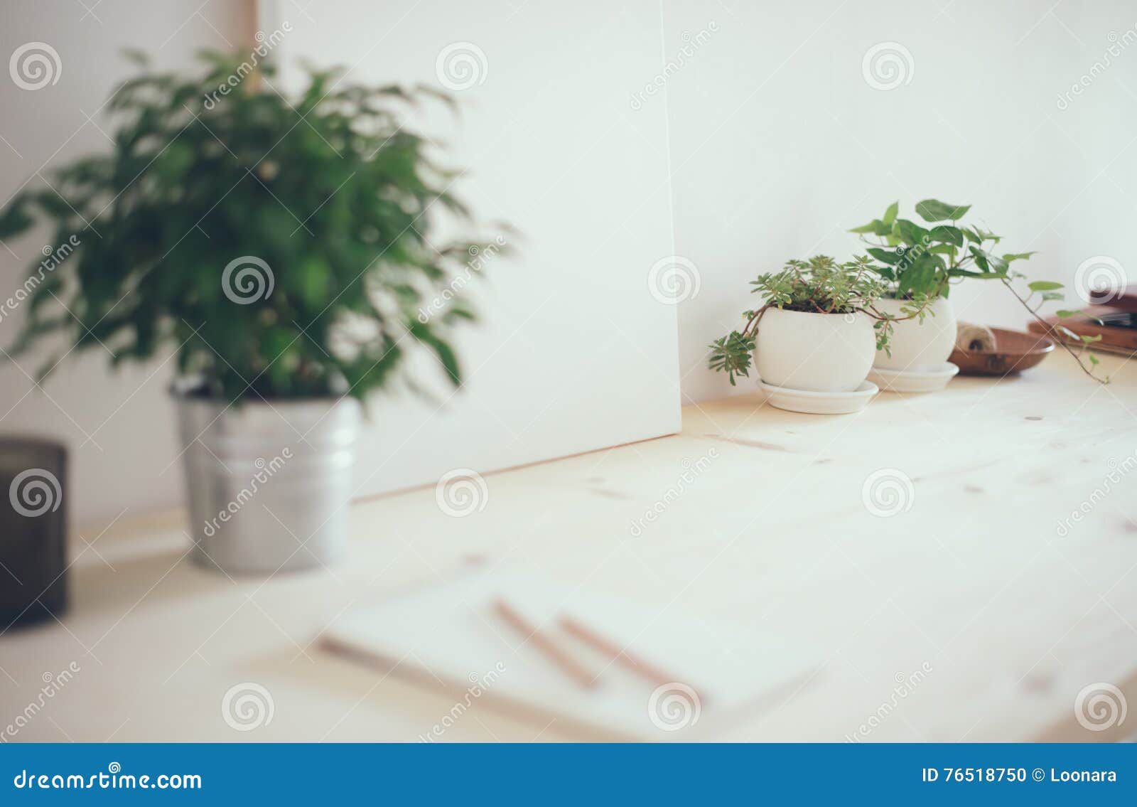 2,784 Canvas Plants Stock Photos - Free & Royalty-Free Stock Photos ...