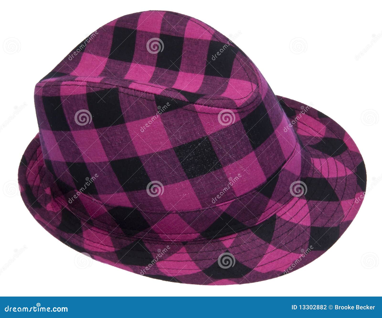 Hipster Plaid Hat stock photo. Image of plaid, white - 13302882