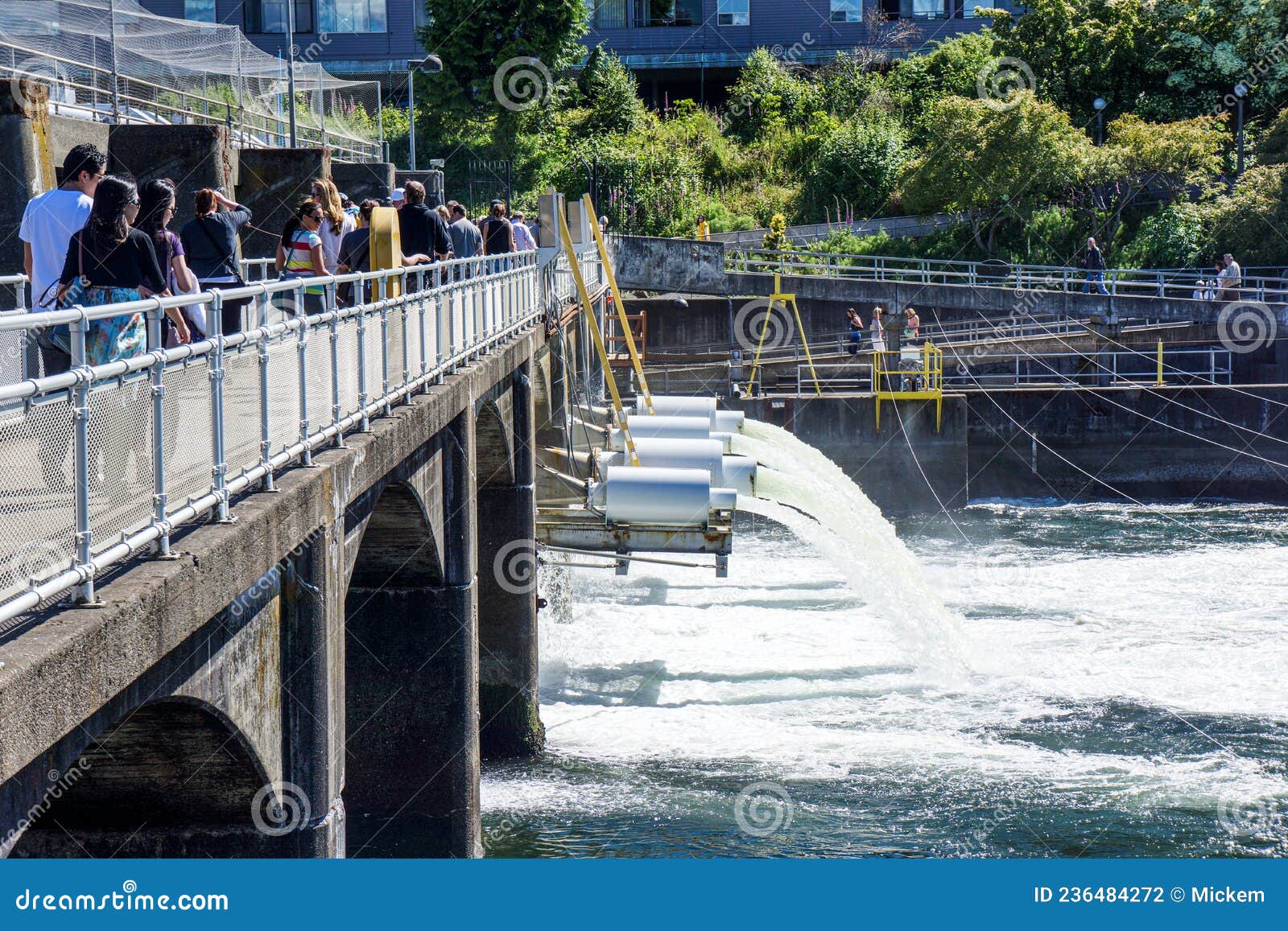 Salmon Locks Seattle editorial photography. Image of hiram - 236484272