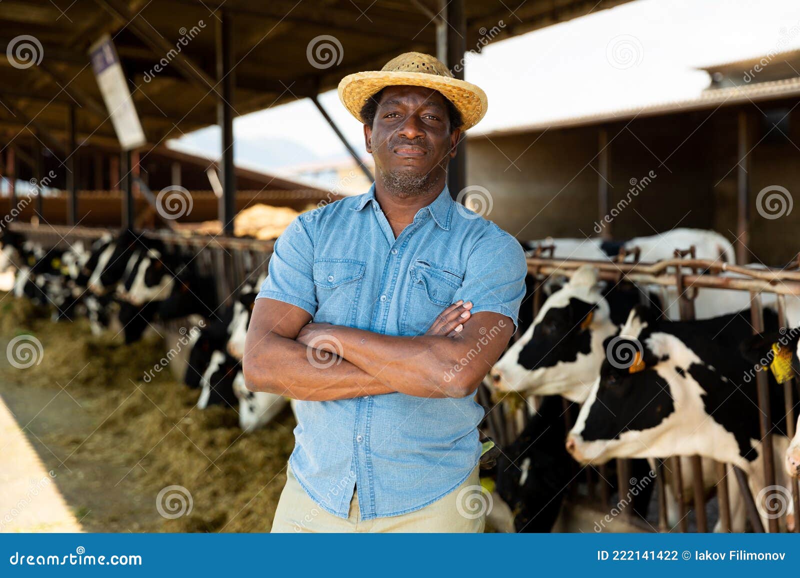 Hired Worker with Agricultural Tool in Hands in Cowshed Stock Photo ...