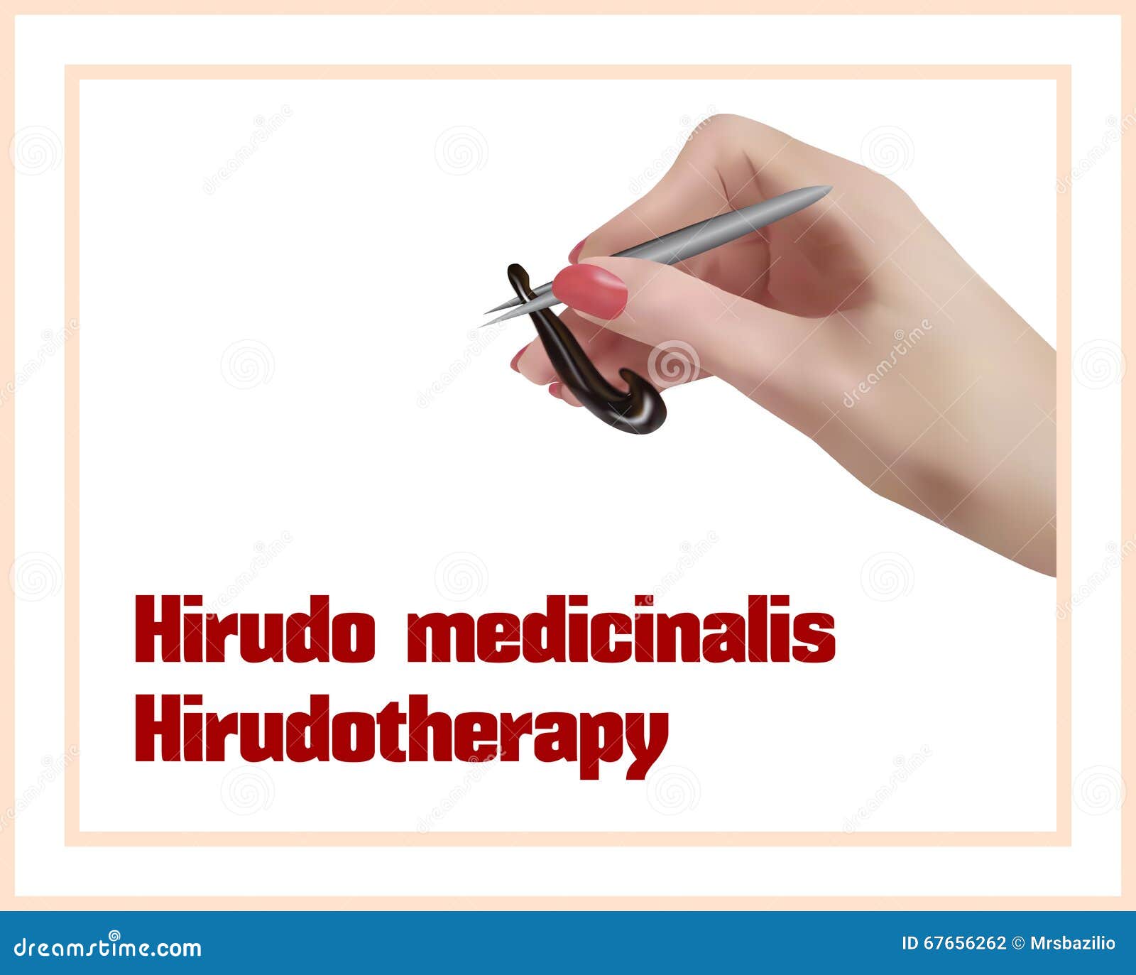 Hirudotherapy. Treatment with Leeches Stock Vector - Illustration of ...