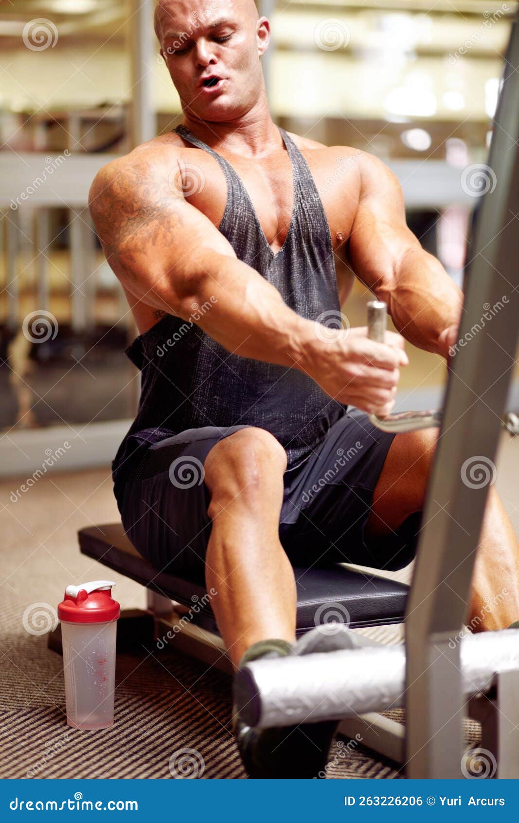 His Determination Never Falters. a Male Bodybuilder Using an Exercise ...