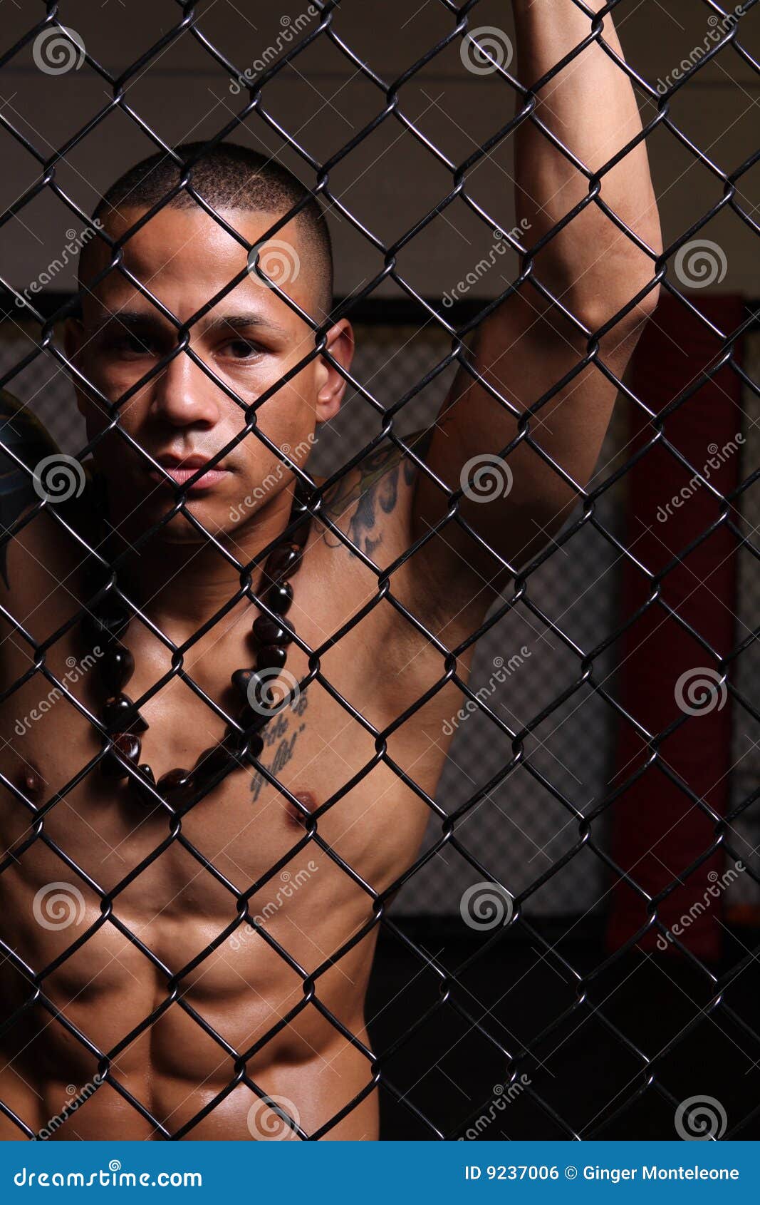 Hispanic Athlete stock photo. Image of tattoos, cage, fighter - 9237006