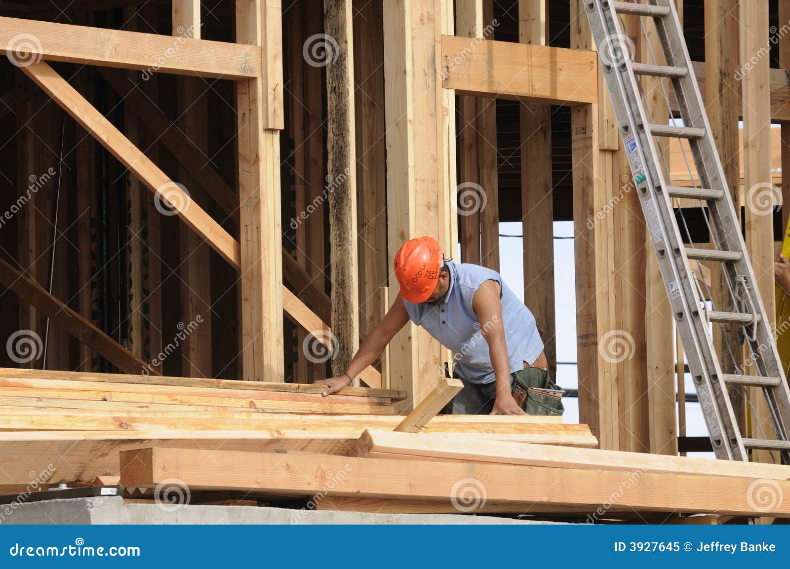Hispanic Carpenter Sorting Wood Stock Image - Image of concrete, ring ...