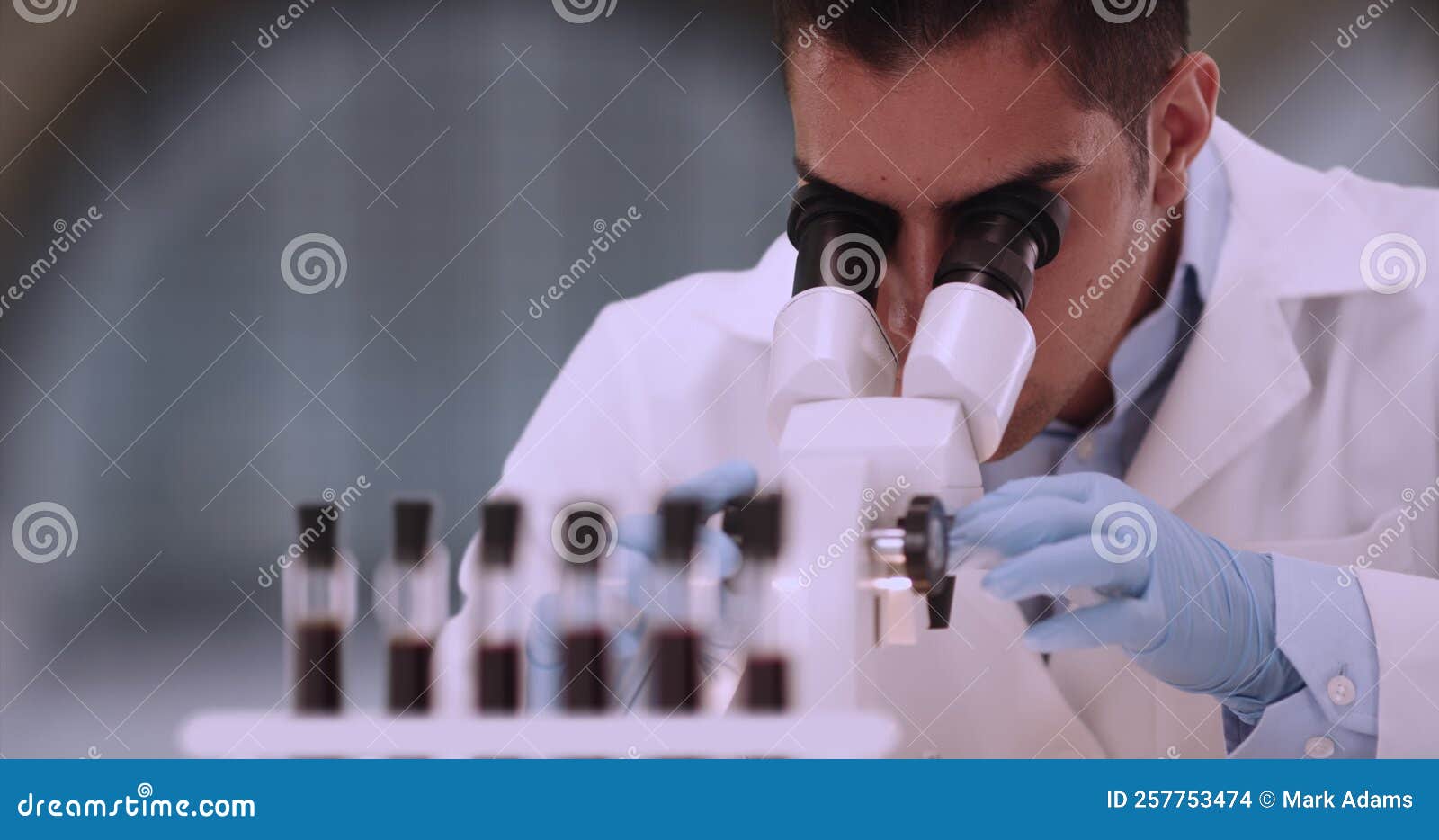 Hispanic Male Forensic Scientist Examining Blood Sample through ...