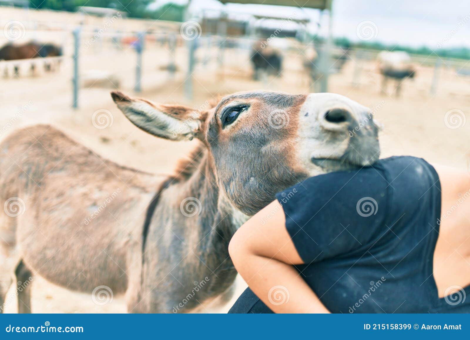Hispanic Woman Playing with Donkey at the Farm Stock Image - Image of ...