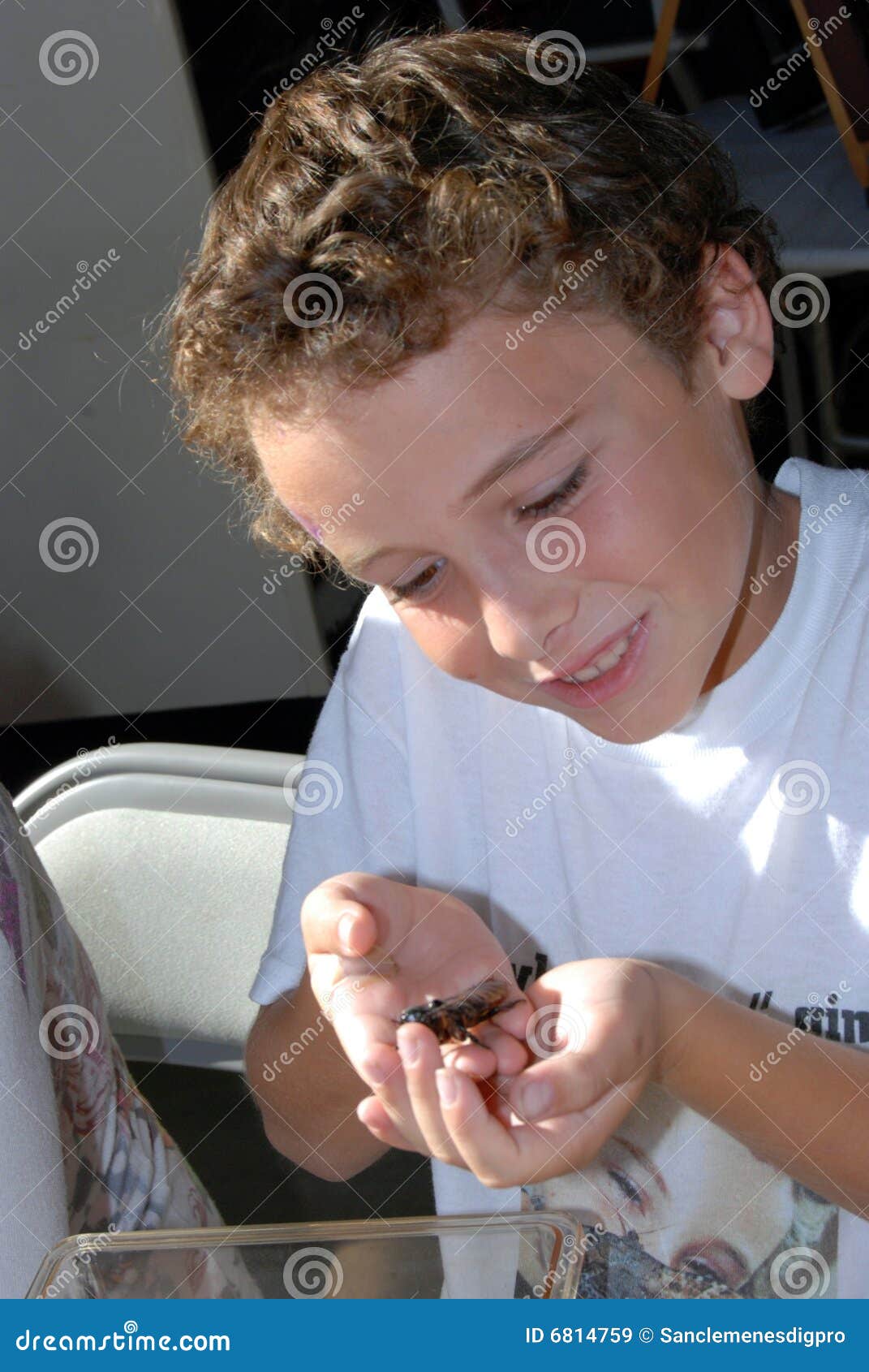 Hissing cockroach in hand stock image. Image of male, madagascar - 6814759