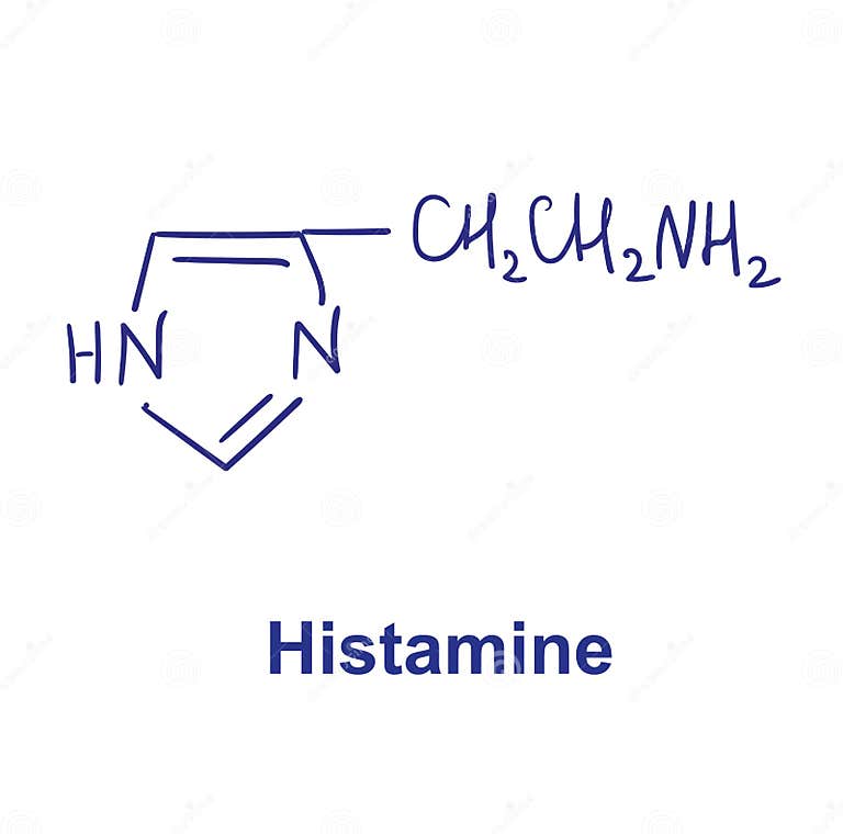 Histamine Chemical Structure. Vector Illustration Hand Drawn. Stock ...
