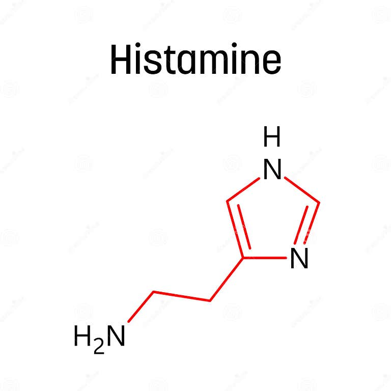 Histamine Structural Formula of Molecular Structure Stock Vector ...
