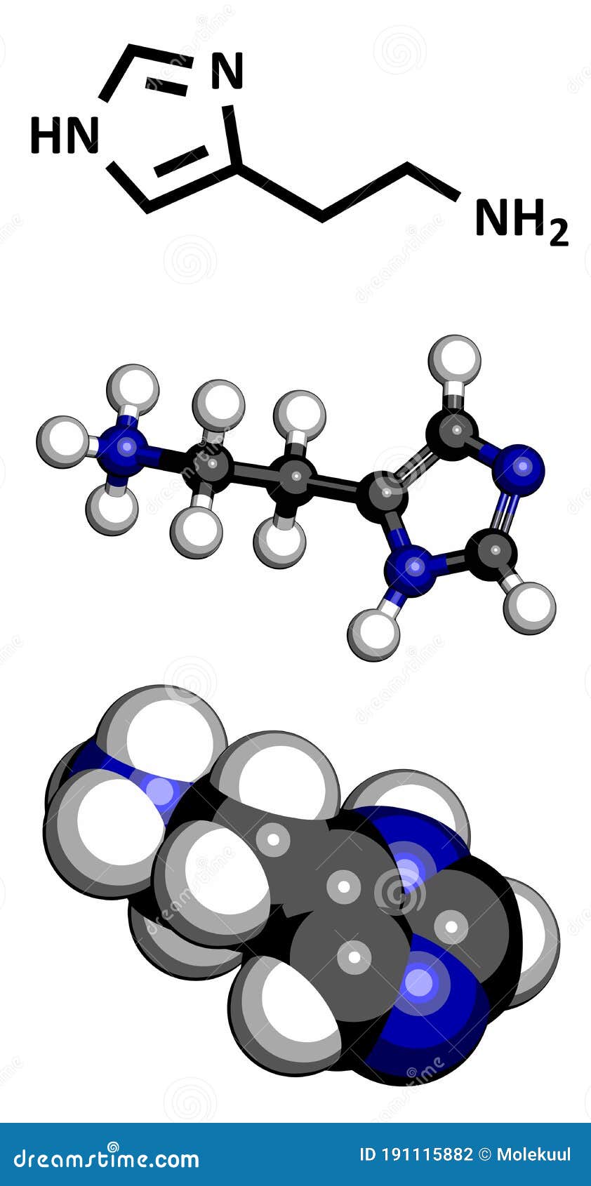Histamine Molecular Formula Cartoon Vector | CartoonDealer.com #149618949