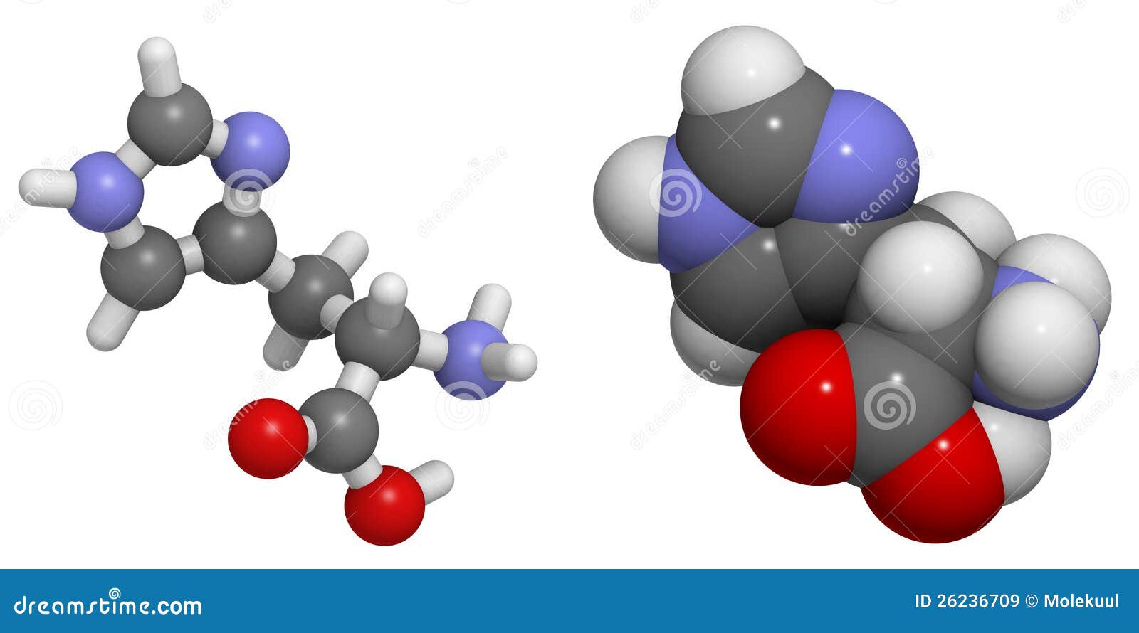 Histidine (His, H) Molecule Stock Illustration - Illustration of acid ...