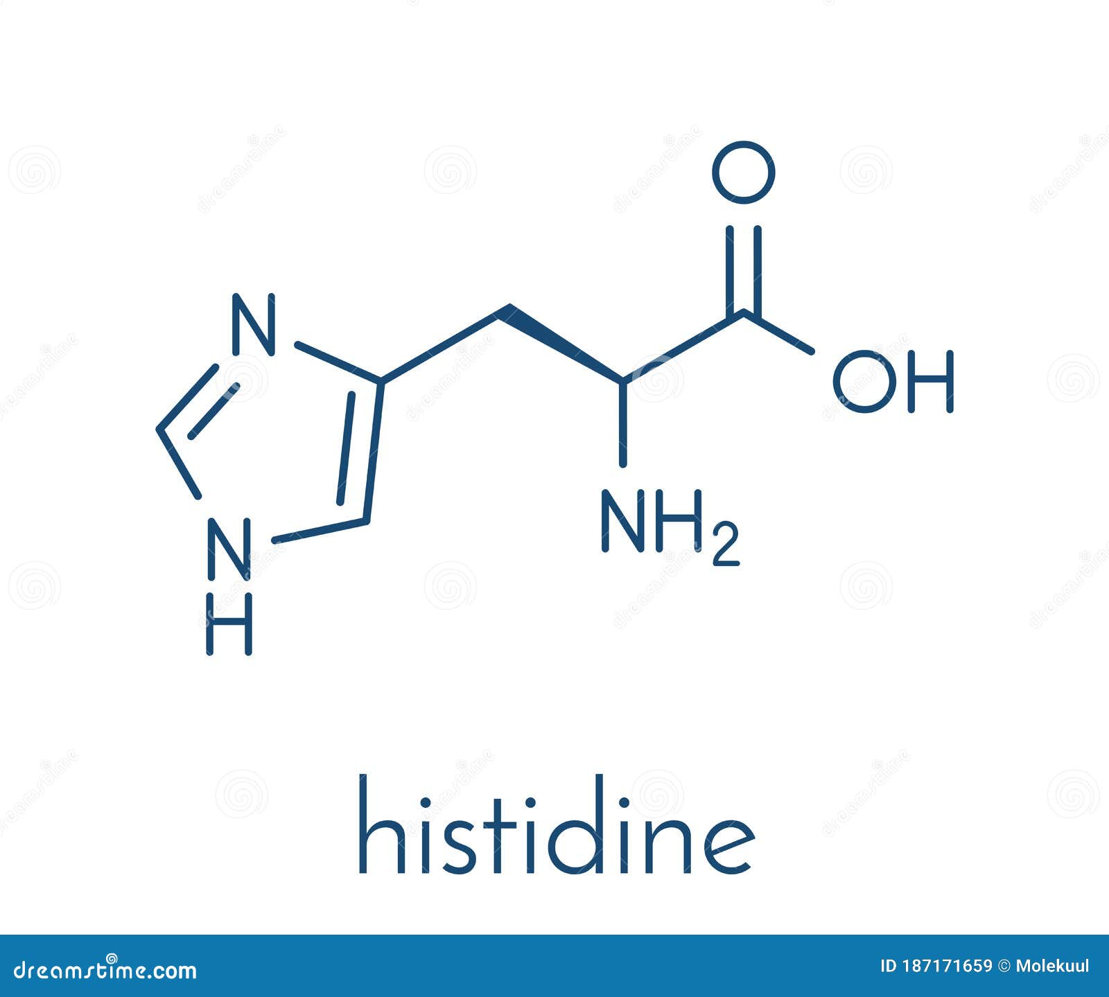 Histidine Amino Acid Structure