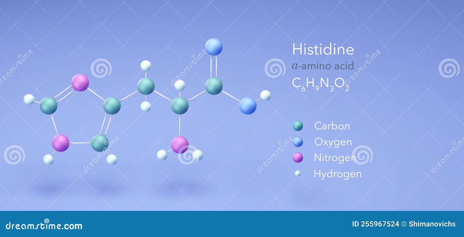 Histidine Molecular Structure 3d, Flat Model, Essential Amino Acid ...